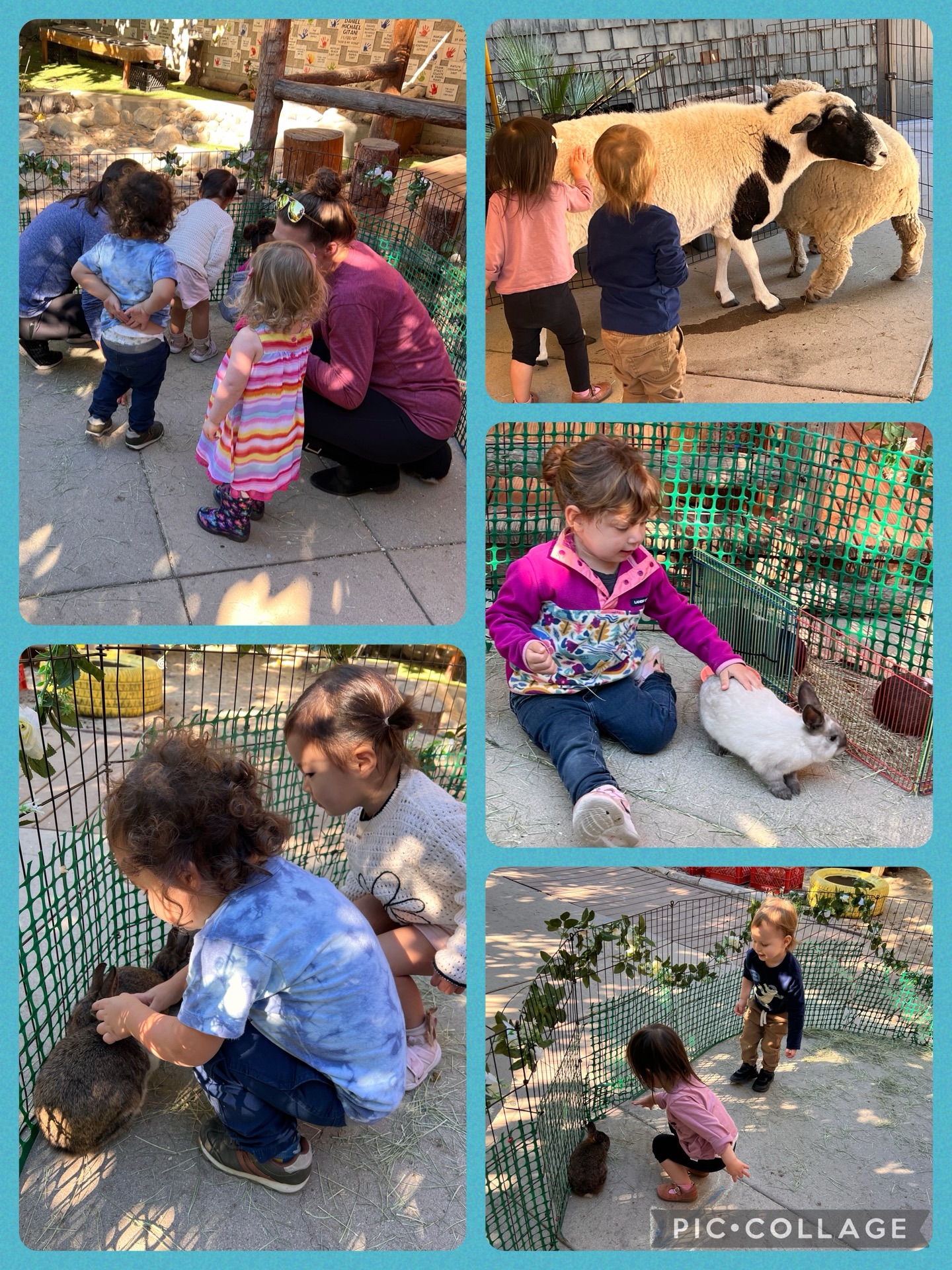 Farm Day 2024! – Pasadena Christian Preschool